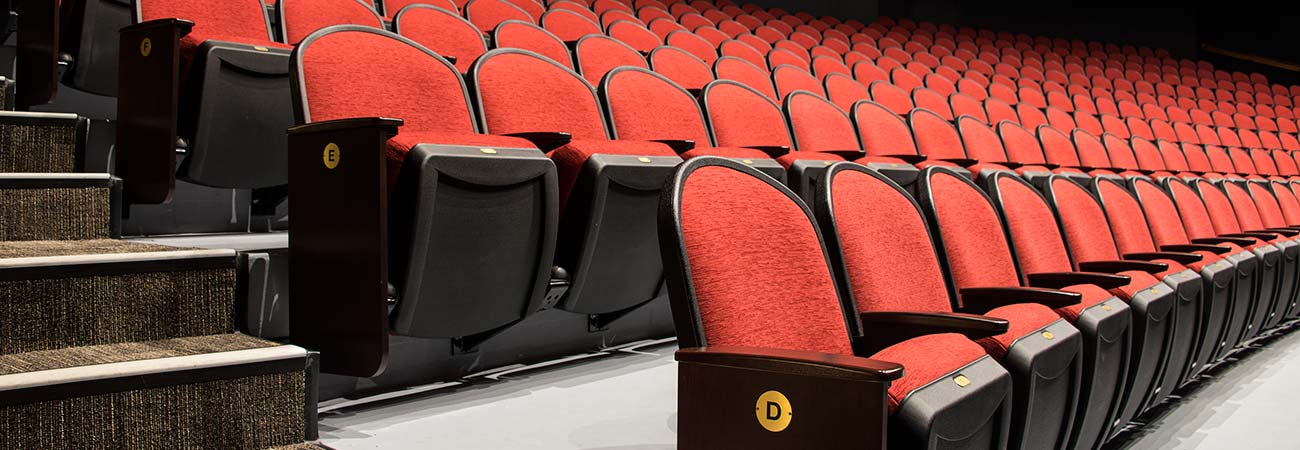 Minskoff theatre fixed audience seating by Irwin Seating with model…
